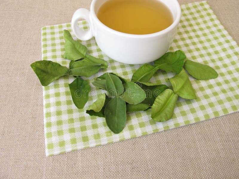 Dried Kaffir Lime Leaves stock photo. Image of dried - 62129652