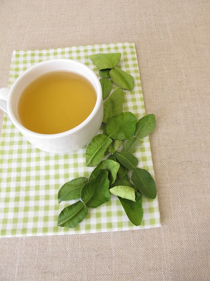 Dried Kaffir Lime Leaves stock photo. Image of dried - 62129652