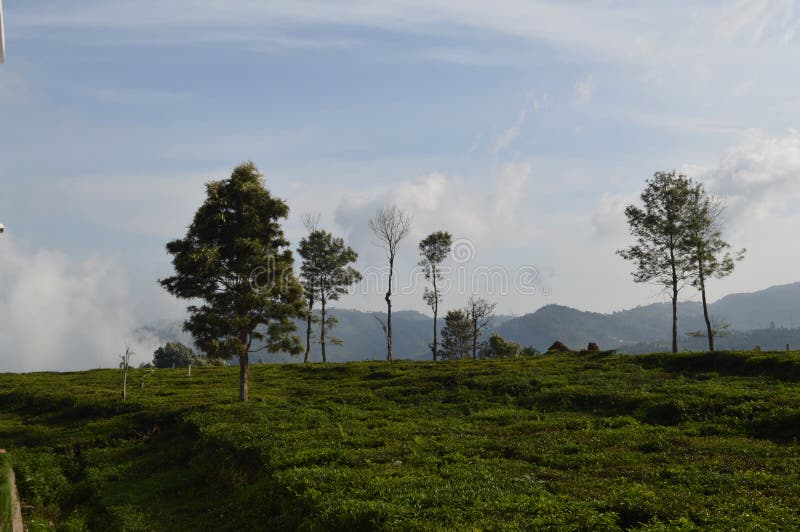 Kotagiri, India stock photo. Image of view, point, india - 100334860