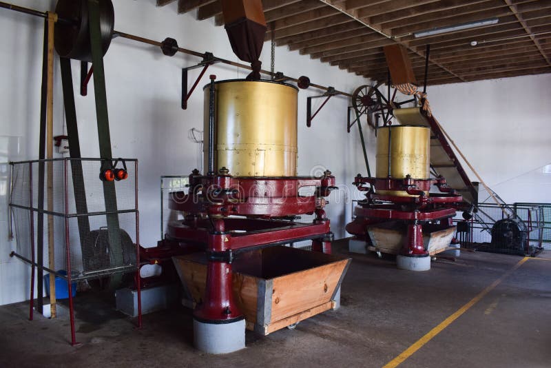 Tea Factory Inside, Equipment and Process Stock Image - Image of leaves ...