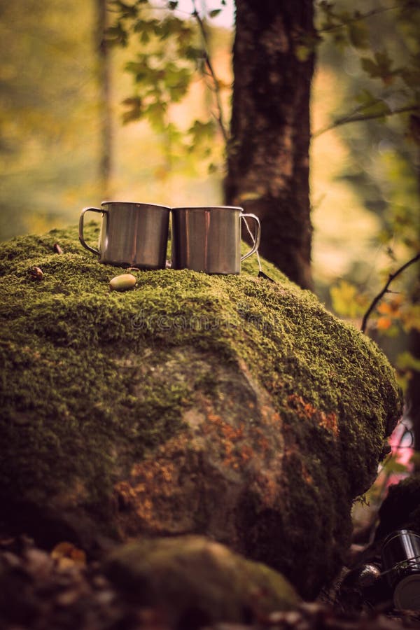 Tea in the forest stock photo. Image of autumn, pacification - 131661450