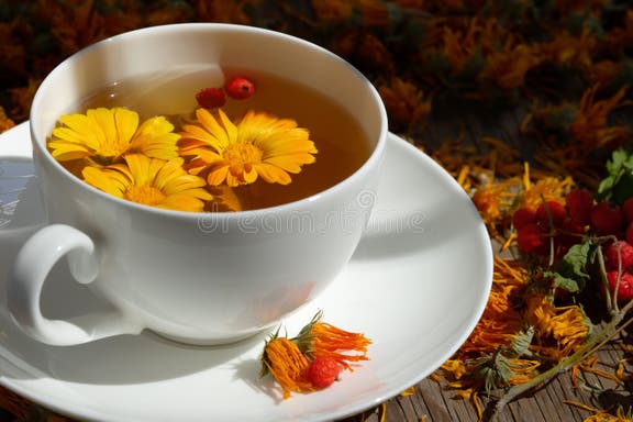 Tea with Fresh Calendula Flowers in a White Cup. There are Also Dried ...