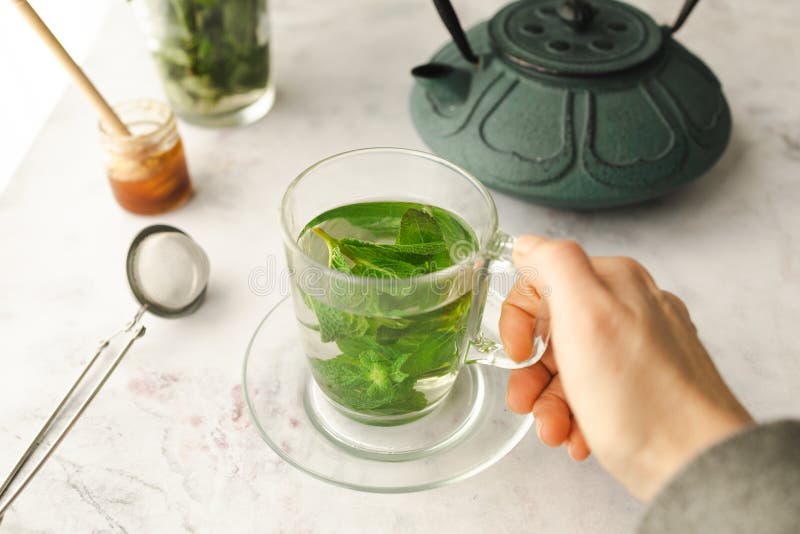 Hot Tea with Fresh Mint Leaves Stock Photo - Image of flower, glass ...