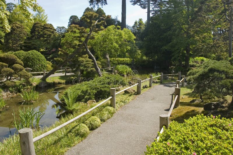 Tea Garden and path stock photo. Image of tree, park, japanese - 2484714