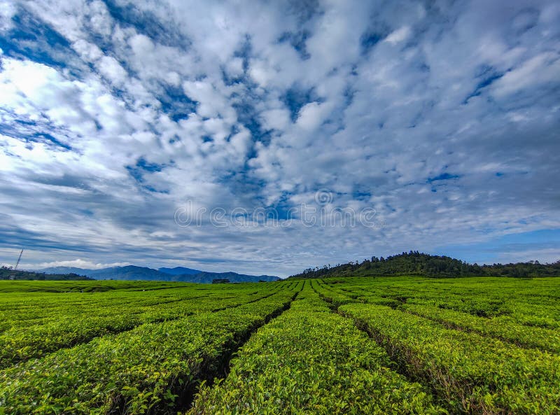 Vyp Stock Photos - Free & Royalty-Free Stock Photos from Dreamstime