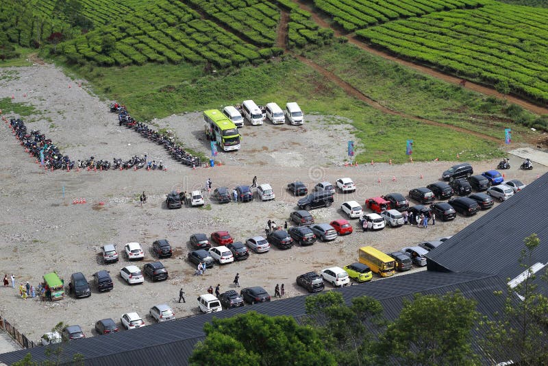 Tea garden tour editorial image. Image of tour, parking - 263150480