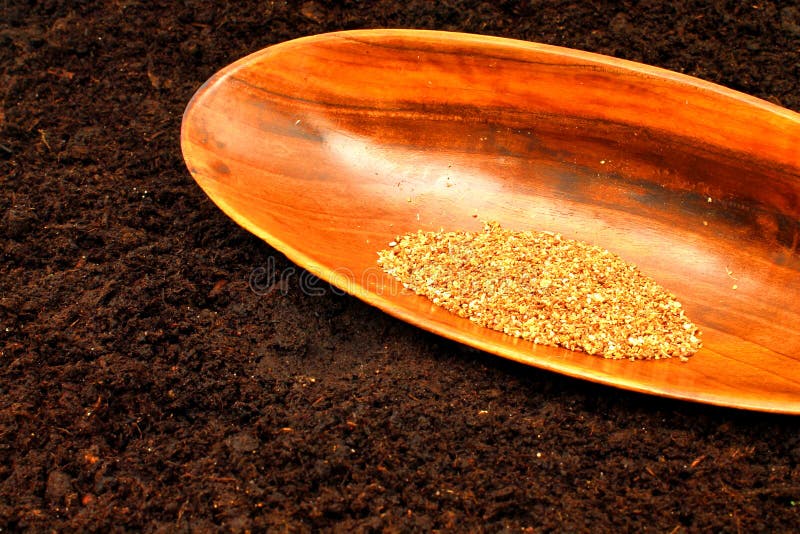 Tea stock photo. Image of background, nature, earth, enjoyment - 41332608