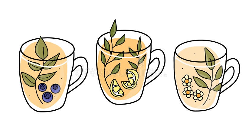 Tea hand draw stock vector. Illustration of isolated - 219768196