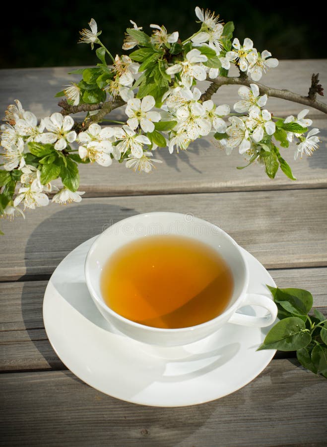 Tea of healthy herb stock image. Image of nature, warmly - 47082425