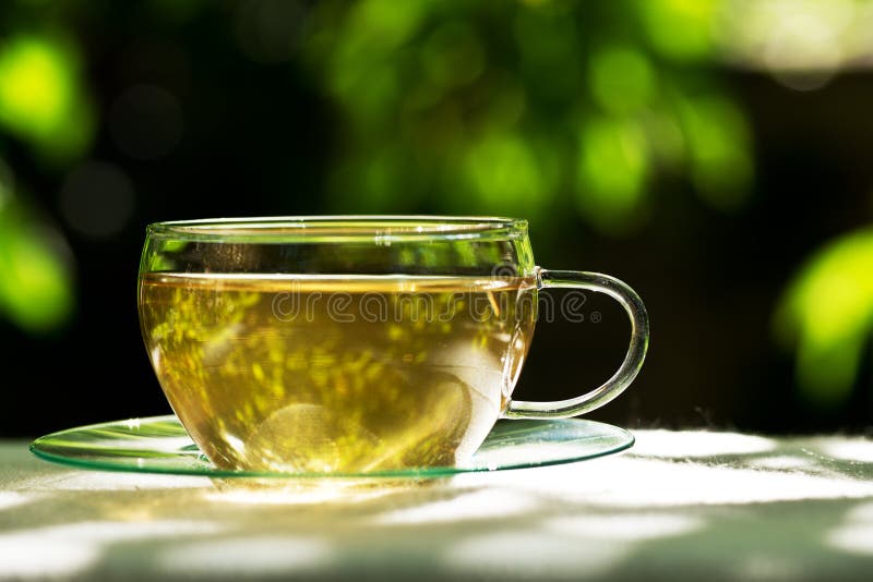 Tea with herbaceous plant stock photo. Image of nature - 36386810