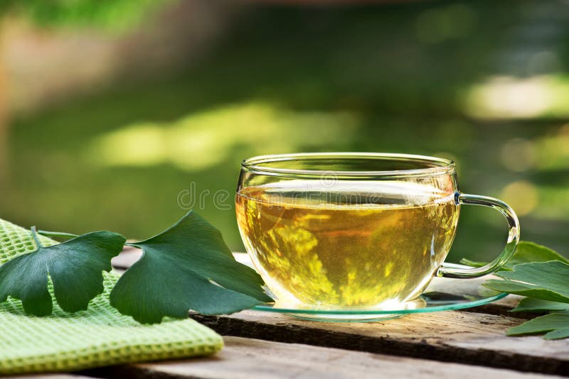 Tea with herbaceous plant stock photo. Image of ginkgo - 34242470