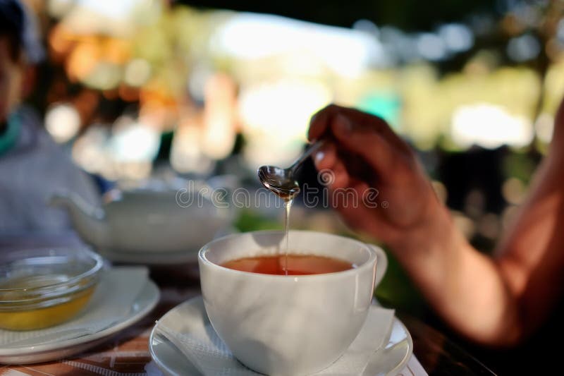 Tea and honey stock photo. Image of herbal, warm, taste - 31408082