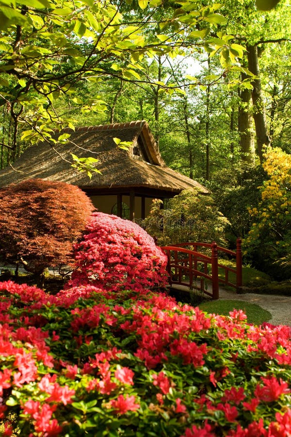 Tea house stock image. Image of asia, path, asian, contemplation - 2392127