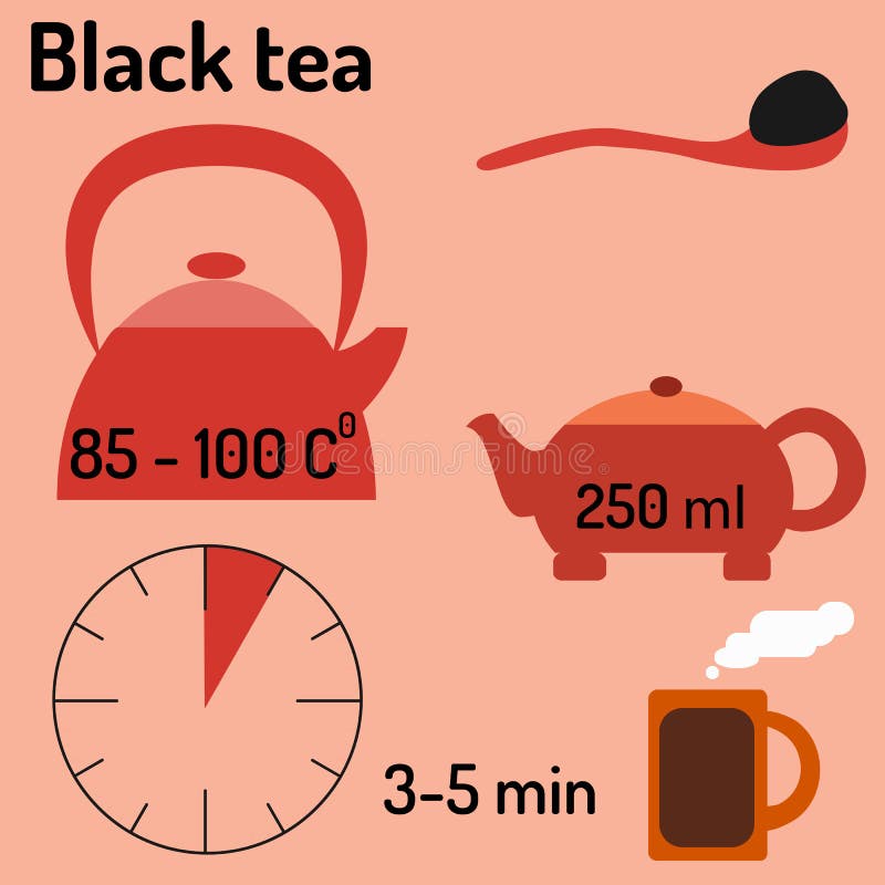 Tea Infographic, How To Make Tea Stock Vector - Illustration of rooibos ...