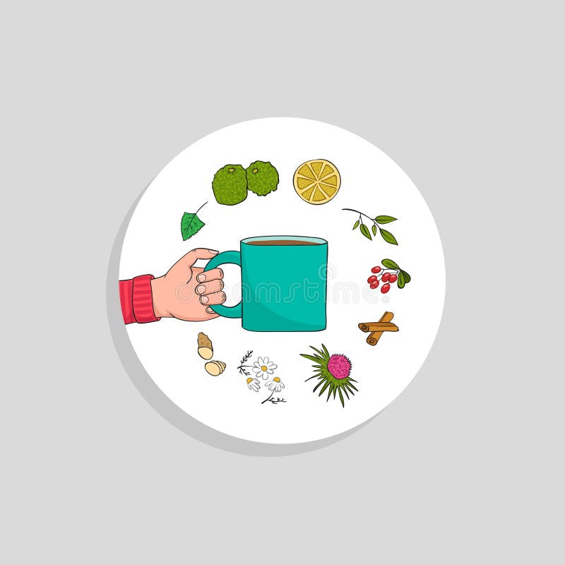 Tea Ingredients. Vector Set or Collection. Cup in Hand Stock Vector ...