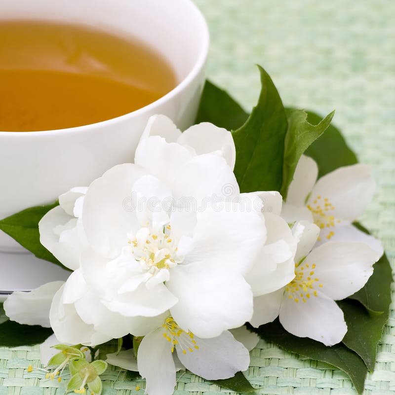 Tea of jasmine stock image. Image of antioxidant, macro - 9864747