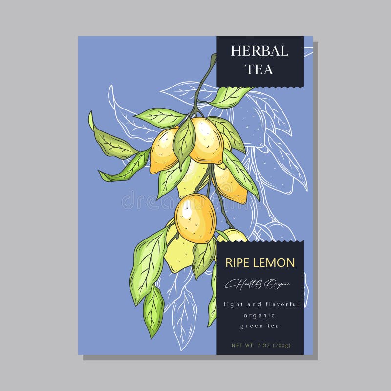 Tea Labels Set. Abstract Vector Packaging Design. Stock Vector ...