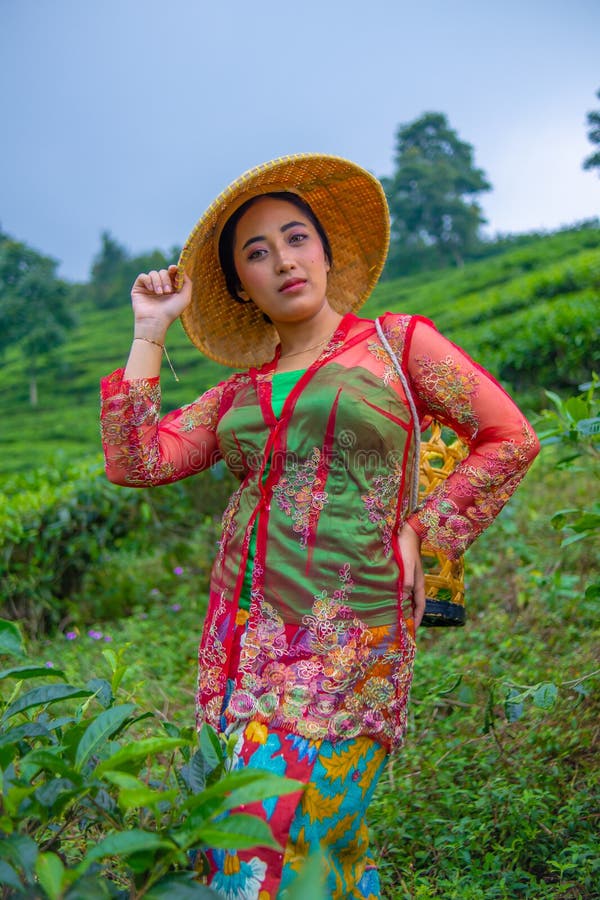 A Tea Leaf Farmer Holding a Bamboo Hat while Working in the Tea Garden ...