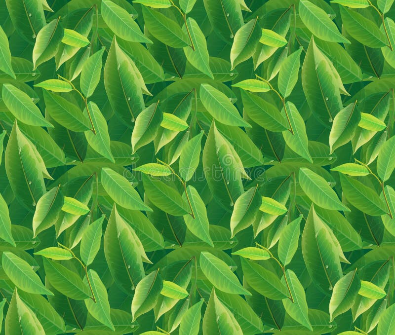 Tea leaf pattern stock image. Image of plant, branch - 103104297
