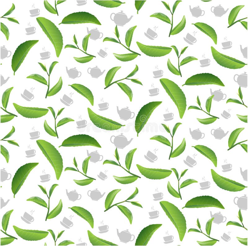 Tea leaf pattern stock illustration. Illustration of hand - 103104322