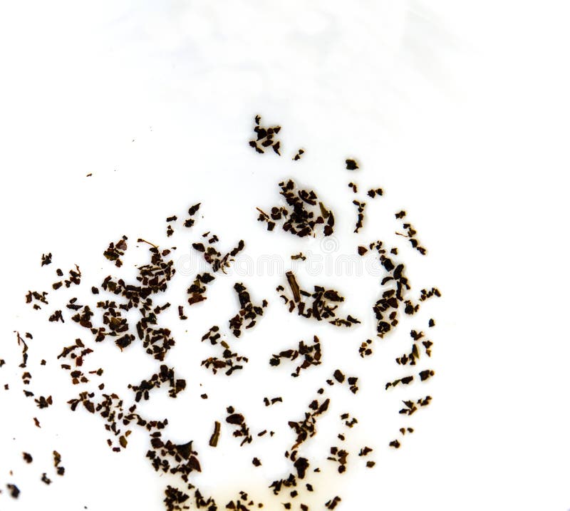 Tea Leaves at the Bottom of a White Cup Stock Illustration ...