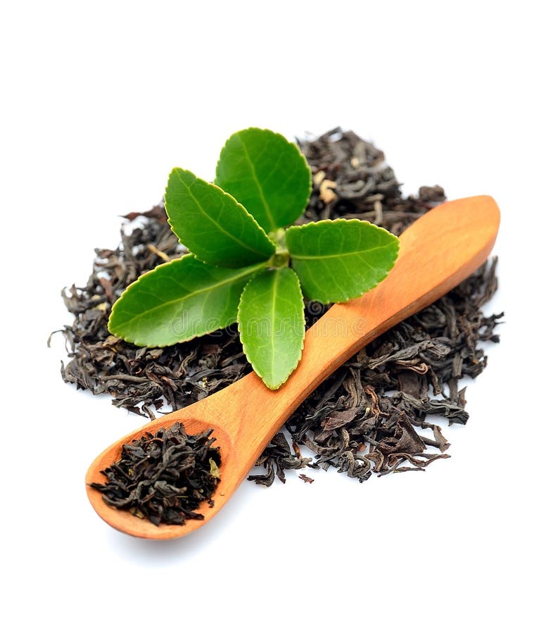 Tea leaves and dried tea stock photo. Image of phyto - 175358640