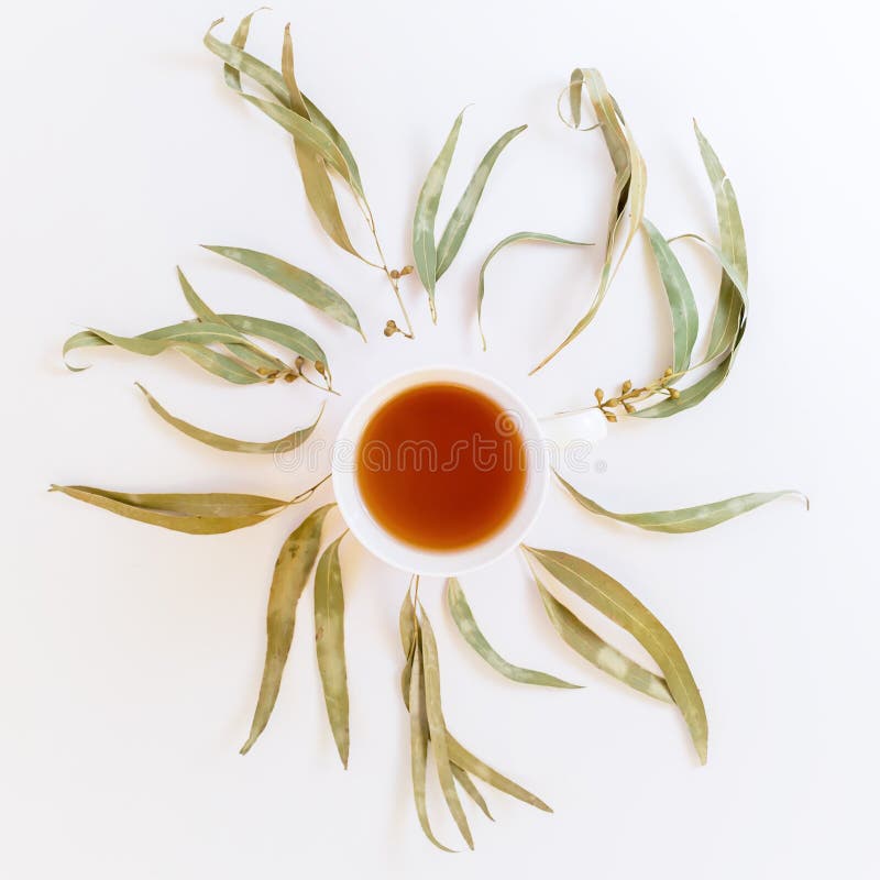 Tea and leaves. Flat lay stock image. Image of white - 79496867