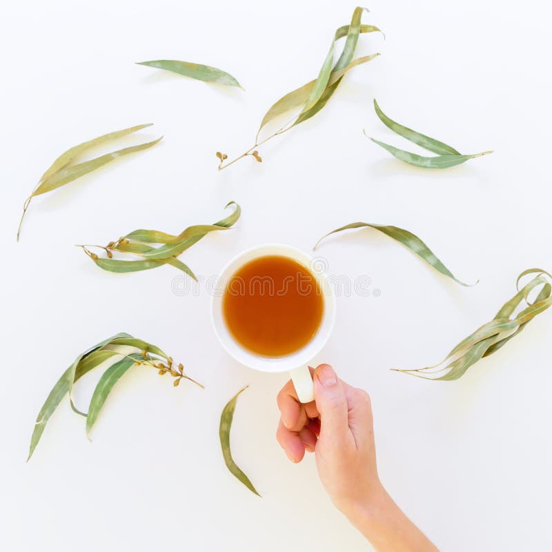 Tea and leaves. Flat lay stock image. Image of natural - 79496931