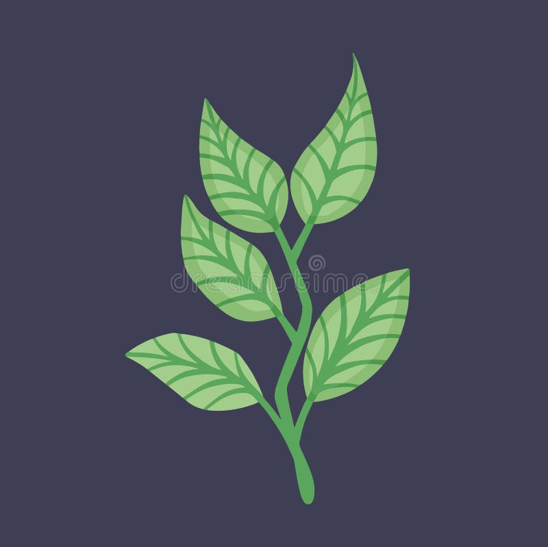 Tea Leaves Green, Hand Drawn Vector Illustration Stock Vector ...