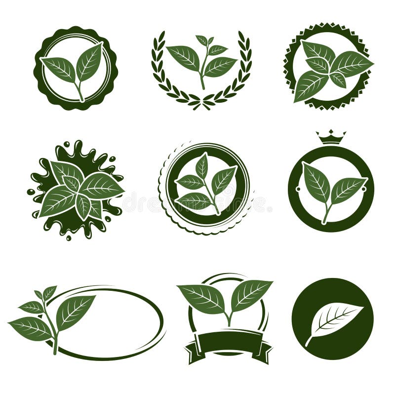 Tea Leaves Label Set. Vector Stock Vector - Illustration of background ...