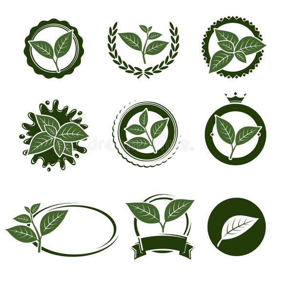 Tea Leaves Label Set. Vector Stock Vector - Illustration of background ...