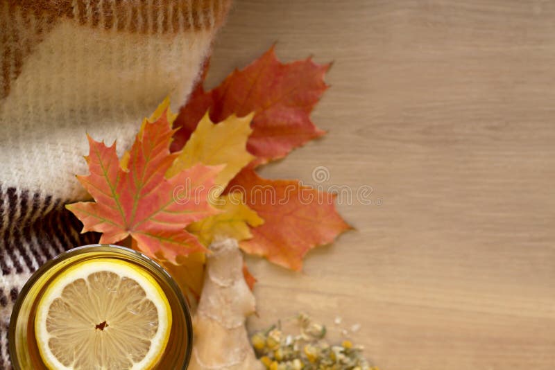 Tea with Lemon on the Fall of Autumn Leaves. Background Stock Photo ...