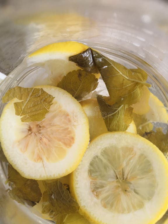Tea Lemon Mint Cold Taste Quench Stock Image - Image of taste, quench ...