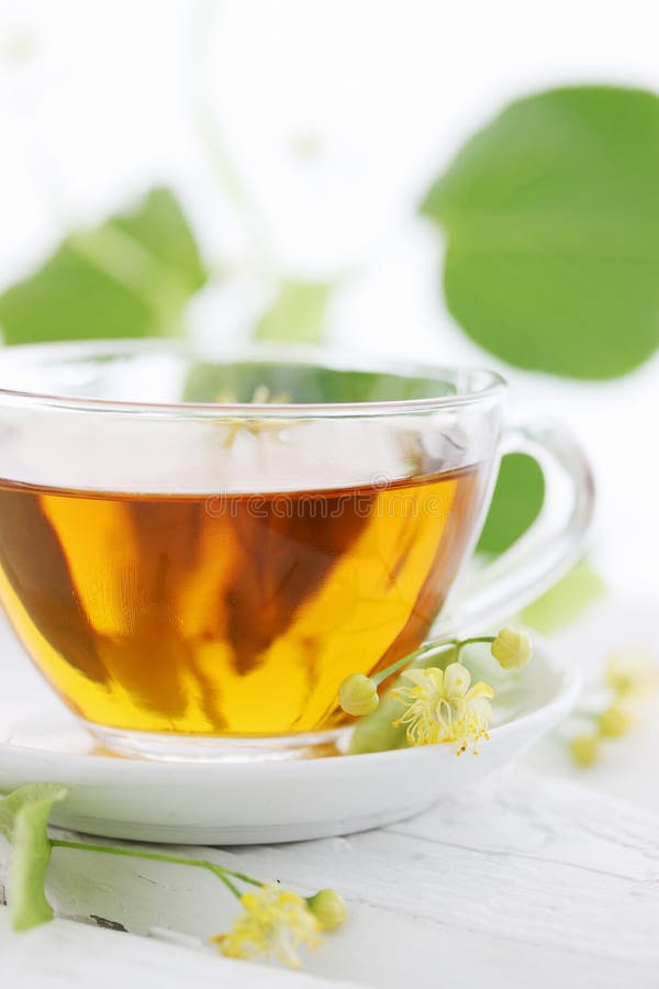 Tea with lime blossoms stock photo. Image of health, linden - 31523662
