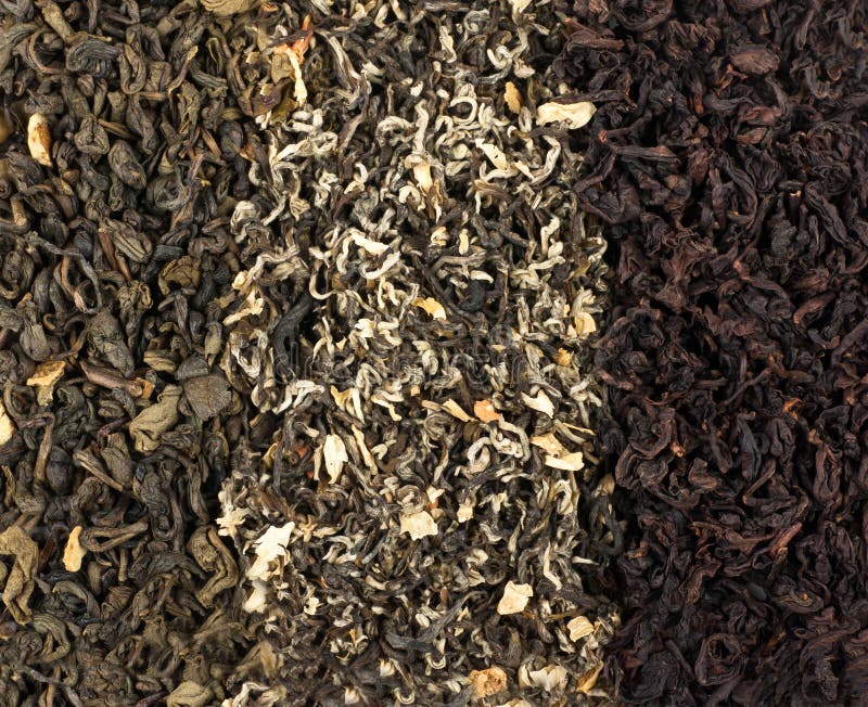Tea loose dried tea leaves stock photo. Image of chai - 36010472