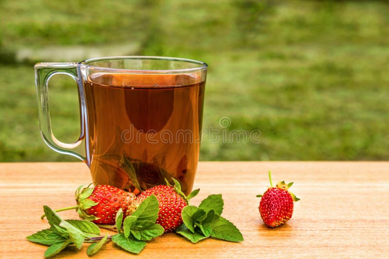 Tea Made from Herbs and Mint with Berries Stock Photo - Image of ...