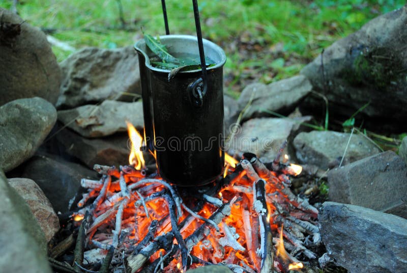 Tea stock photo. Image of wild, wood, summer, rain, tent - 52805420