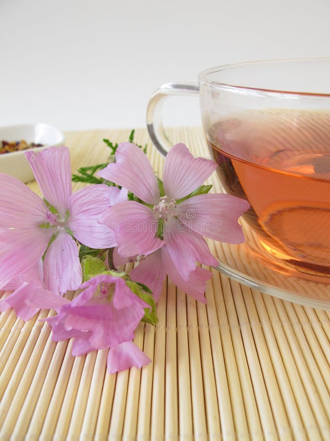 Tea with mallow flowers stock image. Image of flowers - 26251387