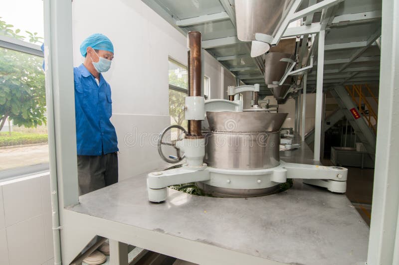 Tea Manufacturing Workers editorial image. Image of production - 36258710