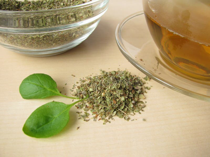 Tea with marjoram stock image. Image of herbal, majorana - 17935645