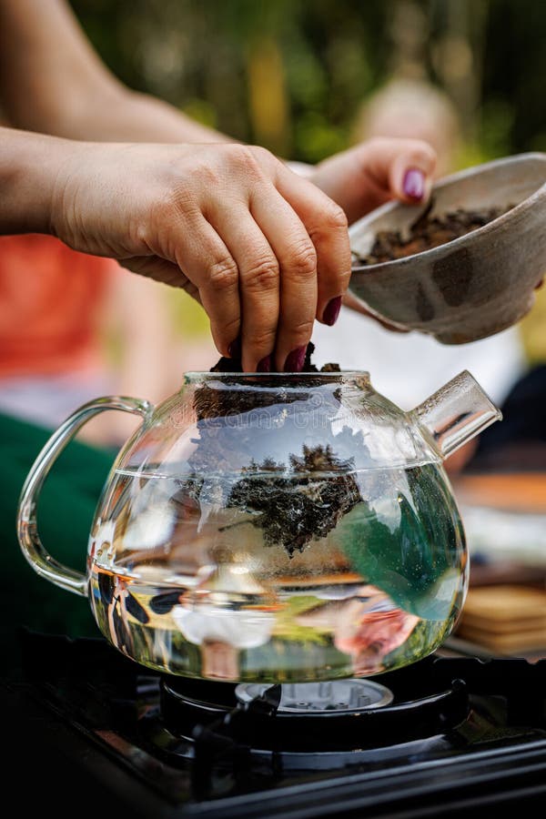 A Tea Master Puts Leaves into a Teapot for Brewing Stock Image - Image ...