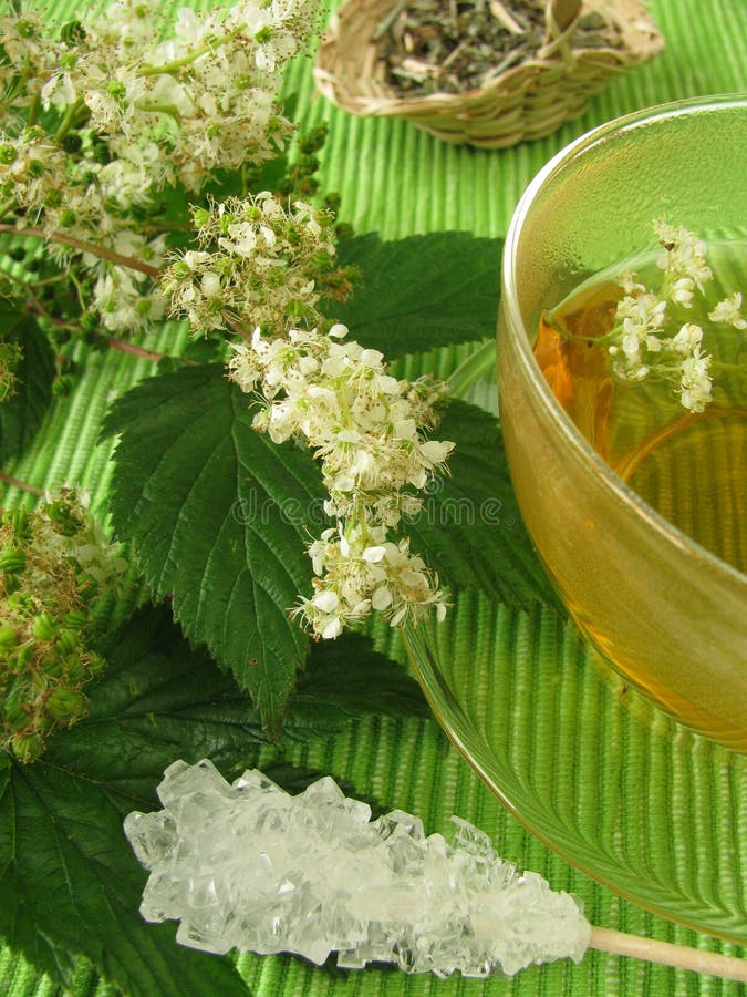 Herb tea with meadowsweet stock image. Image of meadowsweet - 22140031