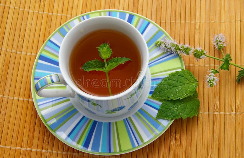 Tea with mint stock photo. Image of drink, flavor, leaf - 15415974
