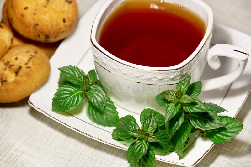 Tea with mint stock photo. Image of melissa, delicious - 17163006