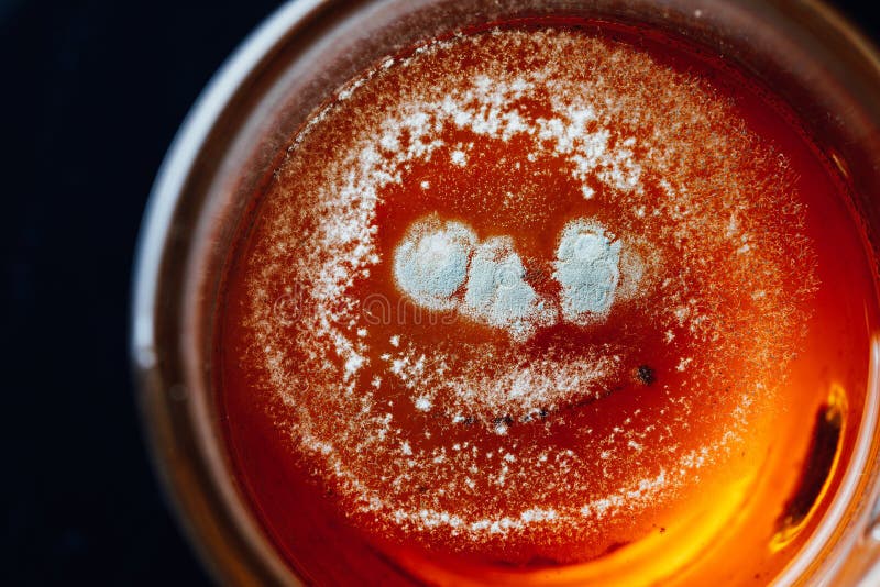 Mold closeup stock image. Image of micro, biological, blue - 8777569