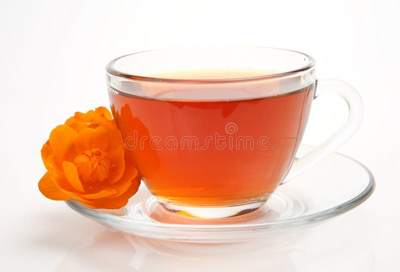 Tea in a mug stock photo. Image of gourmet, liquid, vegetative - 23663748