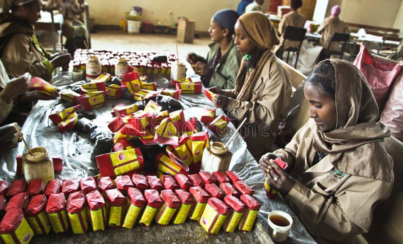 Tea packaging in Ethiopia editorial image. Image of work - 26538580