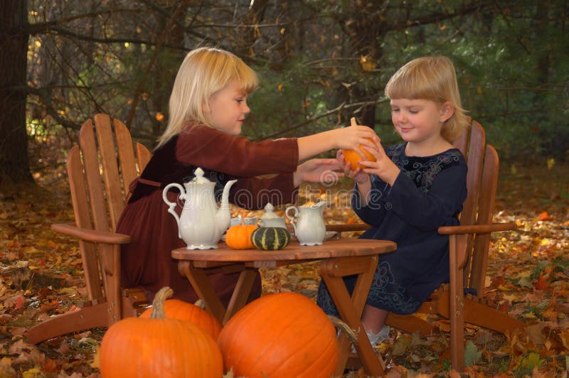 Outdoor tea party stock image. Image of autumn, table - 2784233