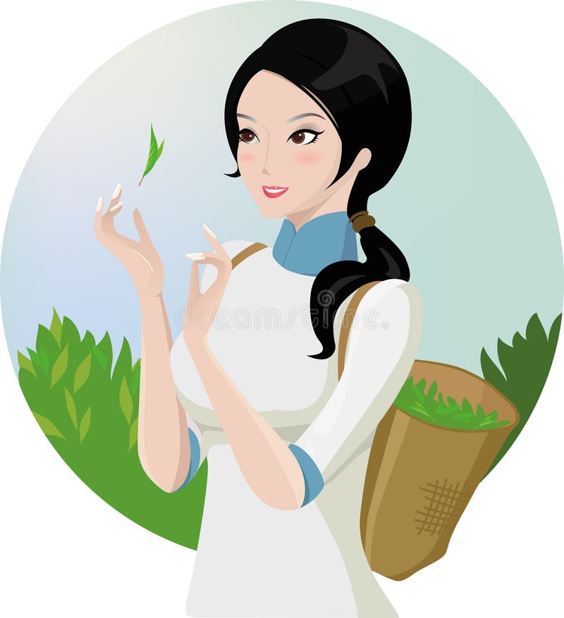 Tea Picking Stock Illustrations – 531 Tea Picking Stock Illustrations ...