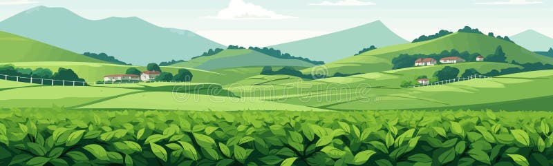 Tea Plantation Vector Flat Minimalistic Isolated Vector Style ...